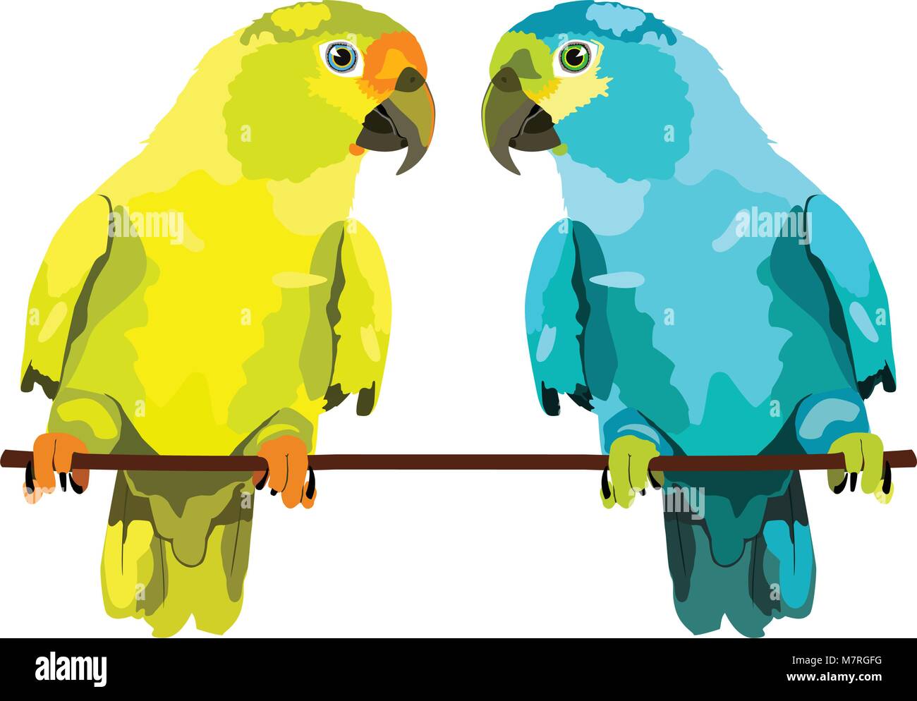 illustration of two parrots on white background Stock Vector Image ...
