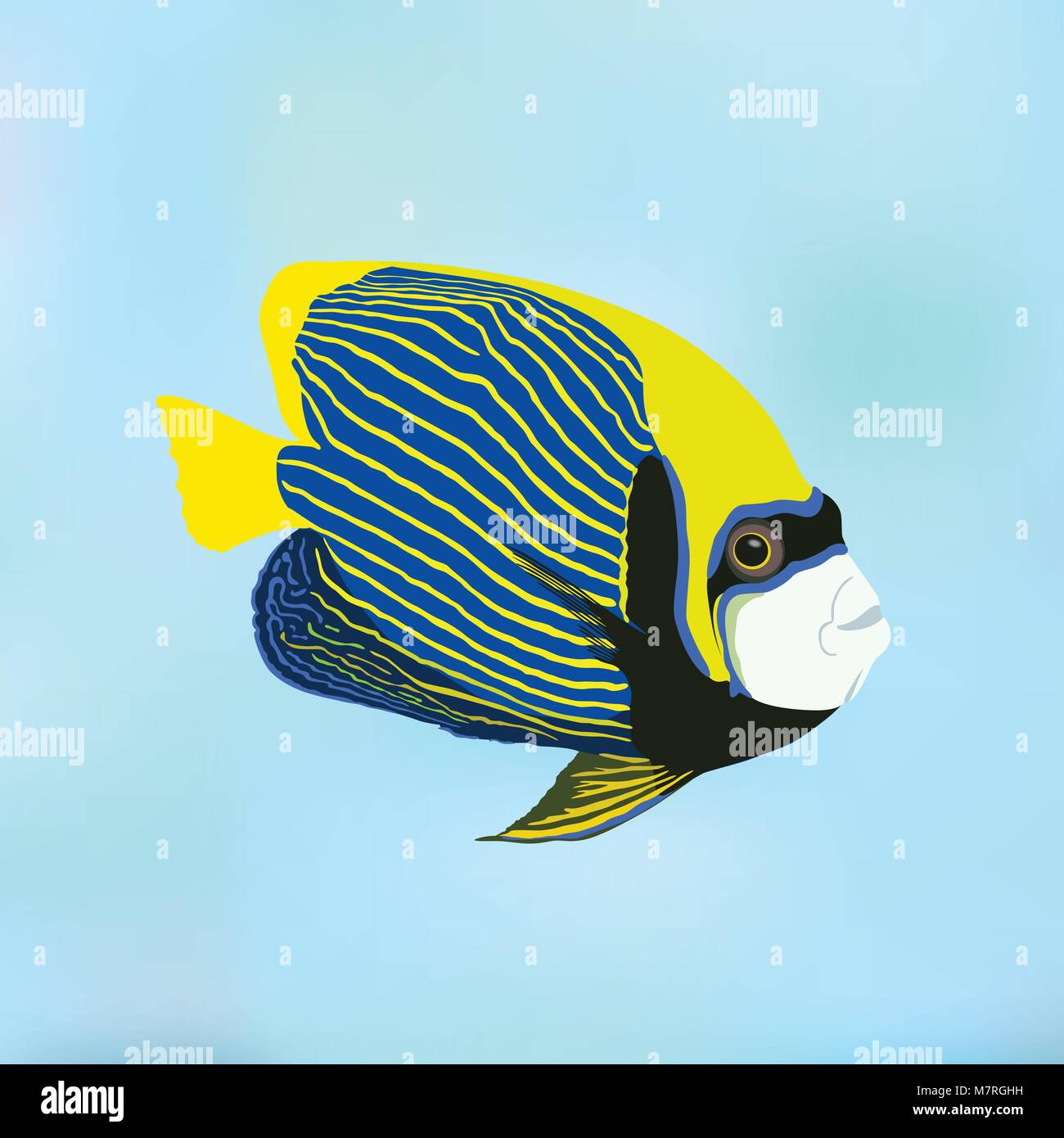 Imperator vector vectors hi-res stock photography and images - Alamy