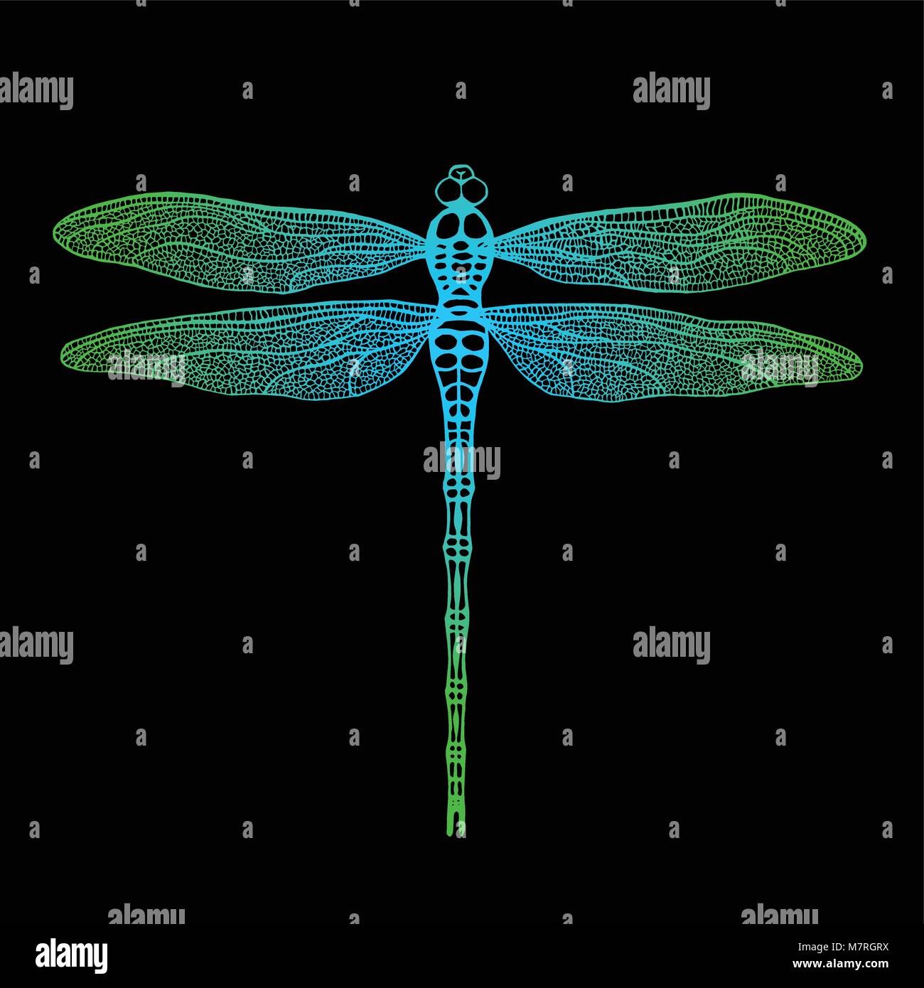 Dragonfly. Vector dragonfly. Hand drawn vector damselfly Stock Vector ...