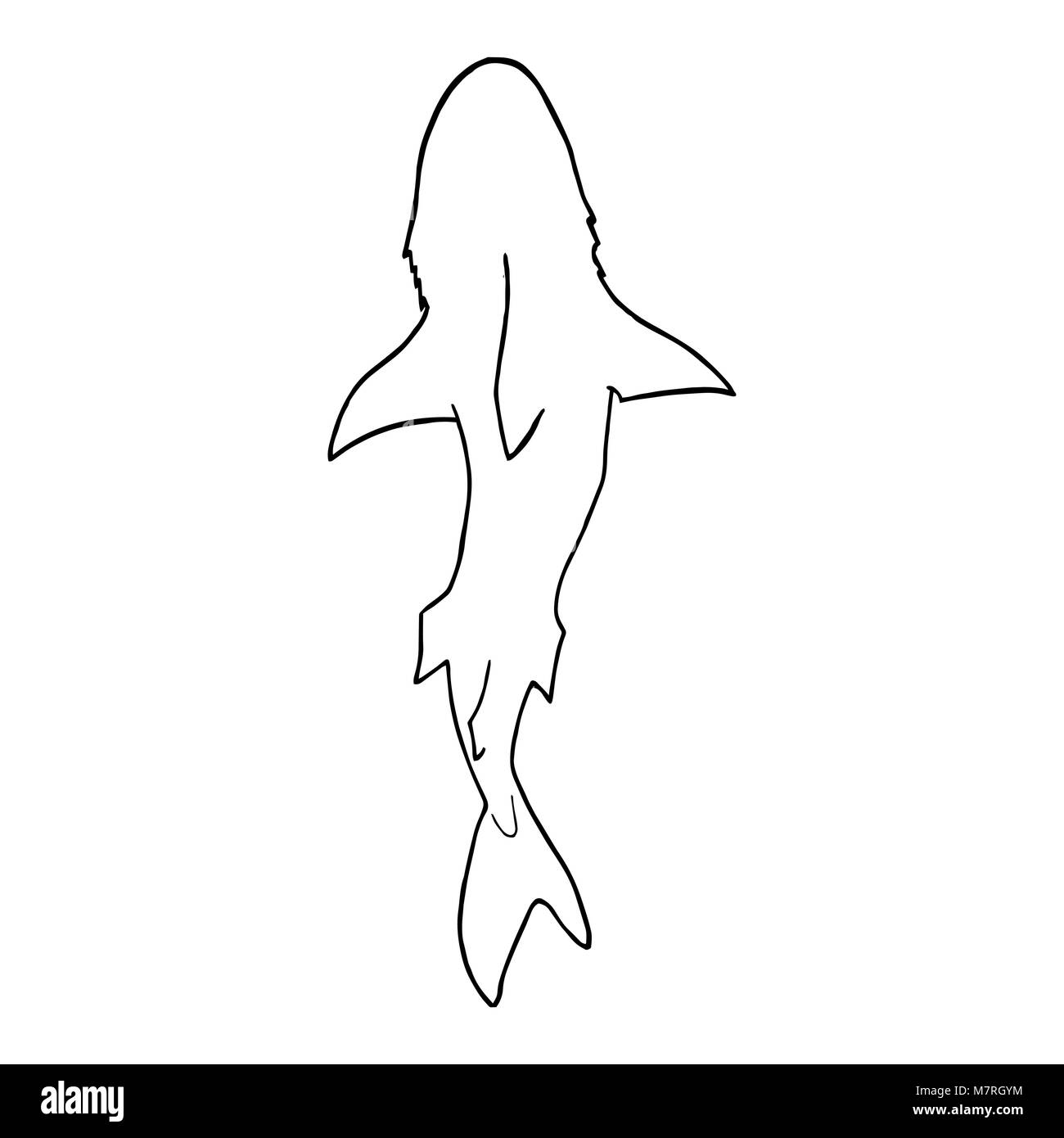 Shark top view Stock Vector Images - Alamy