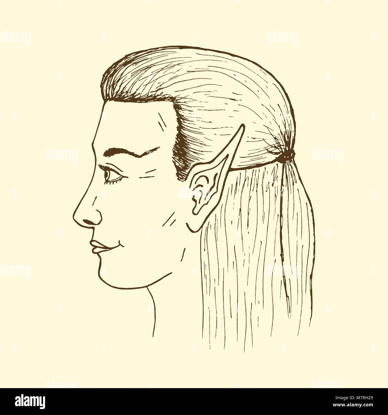 Profile of a young elf. Vector hand drawing elf's face Stock Vector ...