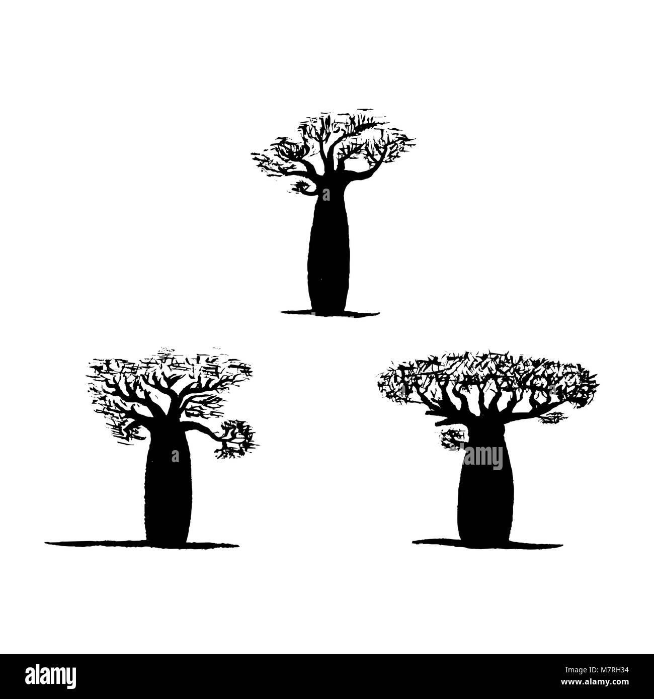 vector set of three hand drawing black baobabs on white background ...