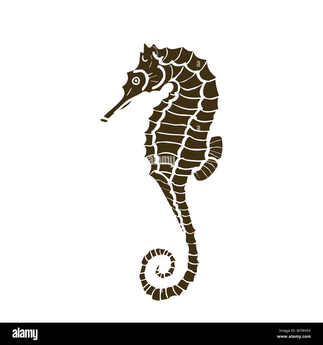 Seahorse in aquarium aquatic Cut Out Stock Images & Pictures - Alamy