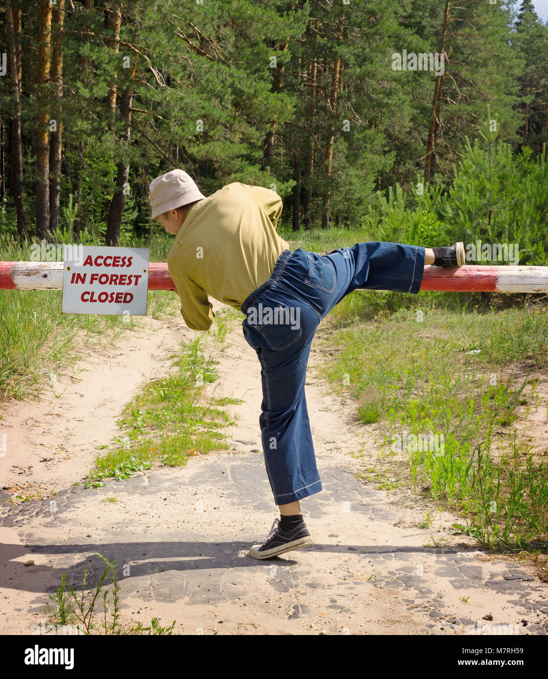 Fire barrier forest hi-res stock photography and images - Alamy