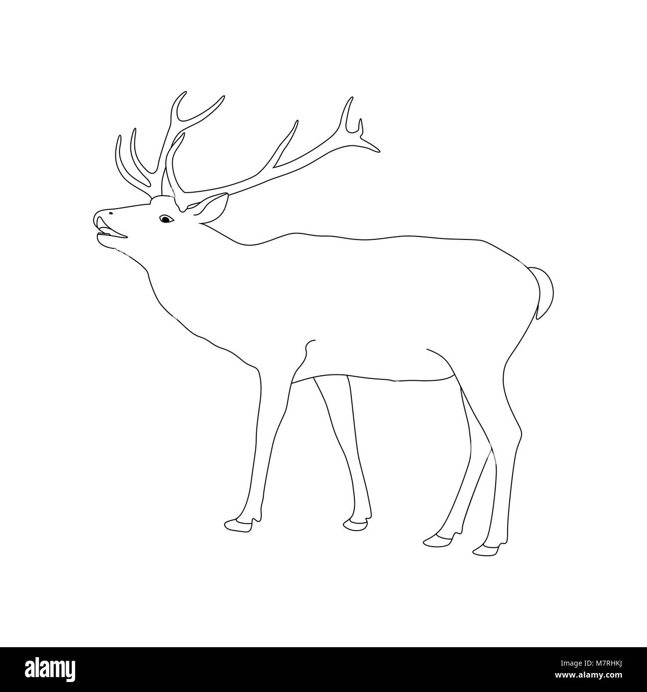 Reindeer coloring hi-res stock photography and images - Alamy