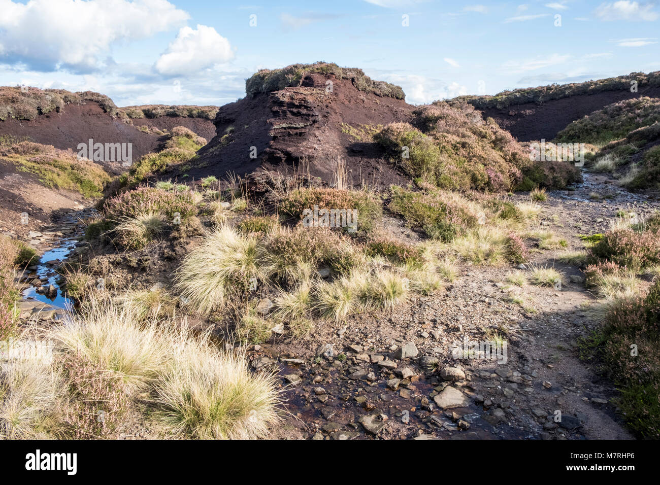 A peat hag formed by erosion of moorland by water leaving gullies or ...