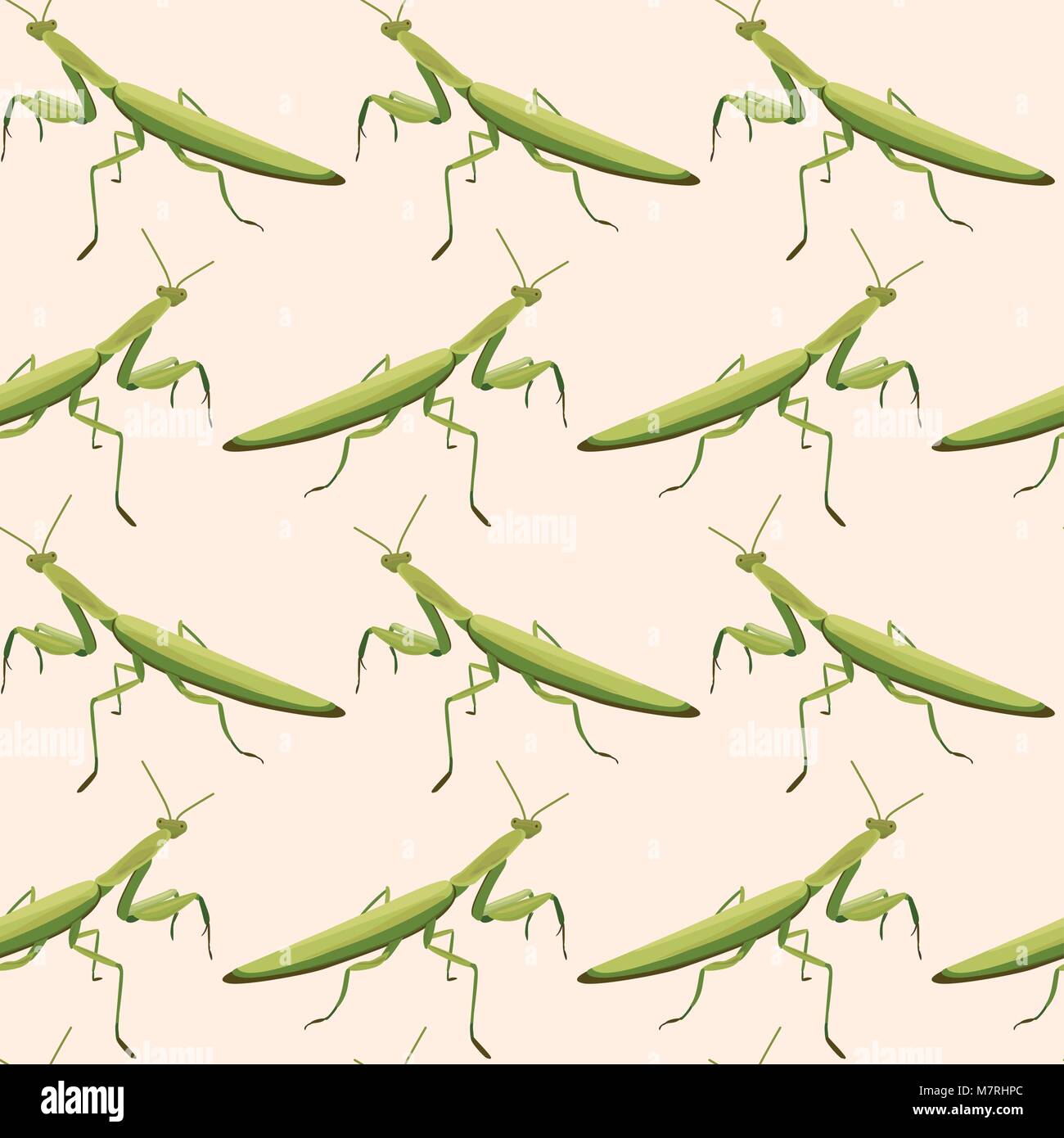 Mantis mantises Stock Vector Images - Alamy