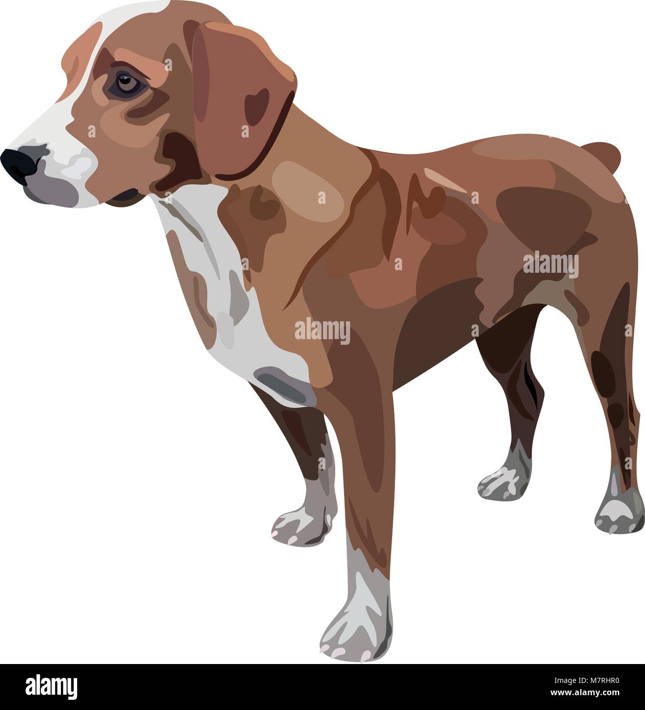illustration of dog on white background Stock Vector Image & Art - Alamy