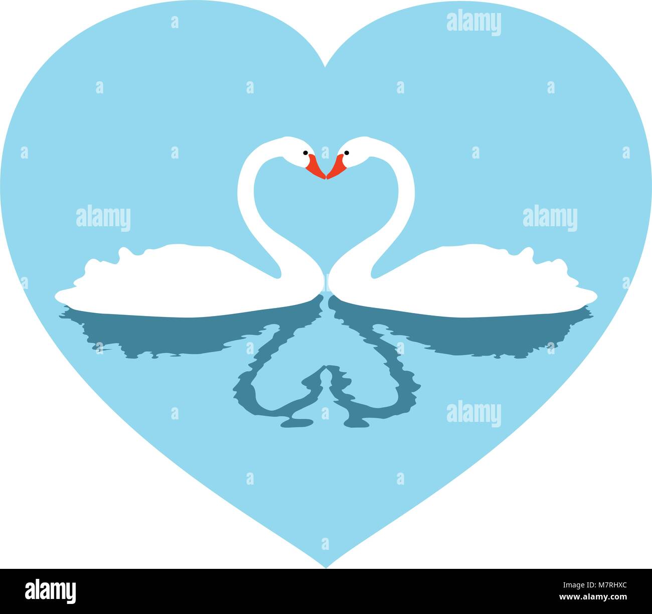 illustration of two white lovers swans in blue heart Stock Vector Image ...