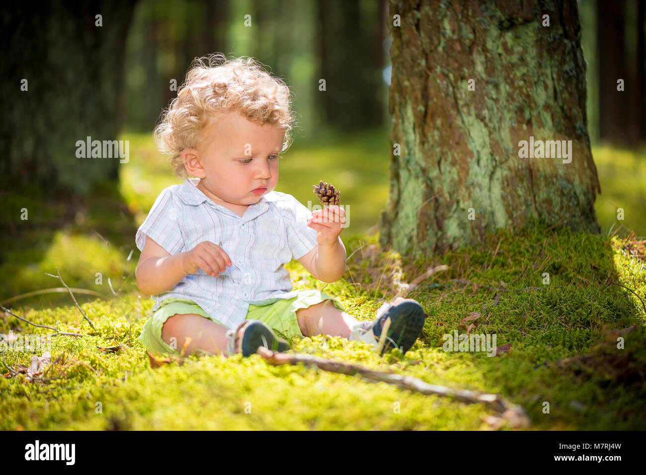 Baby boy examining a pine cone Stock Photo - Alamy