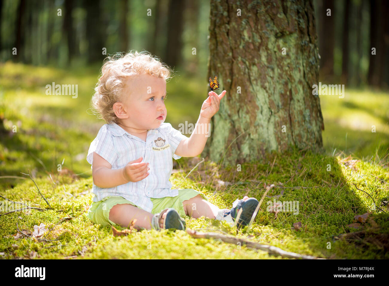 1 Year Old Baby Examining Butterfly Sitting On His Hand Stock Photo Alamy 1-year-old-baby-examining-butterfly-sitting-on-his-hand-stock-photo-alamy