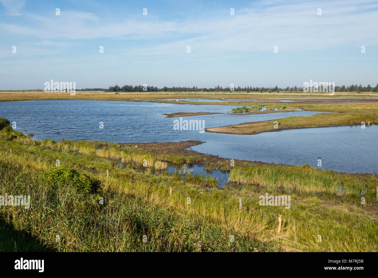 Saksfjed hi-res stock photography and images - Alamy