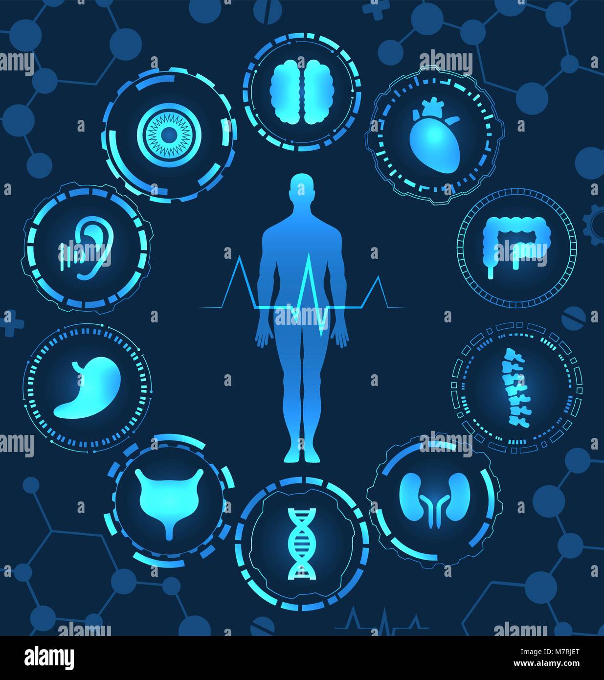 Medical Health Care, Human Organs, Virtual Body Hi Tech Diagnostic ...