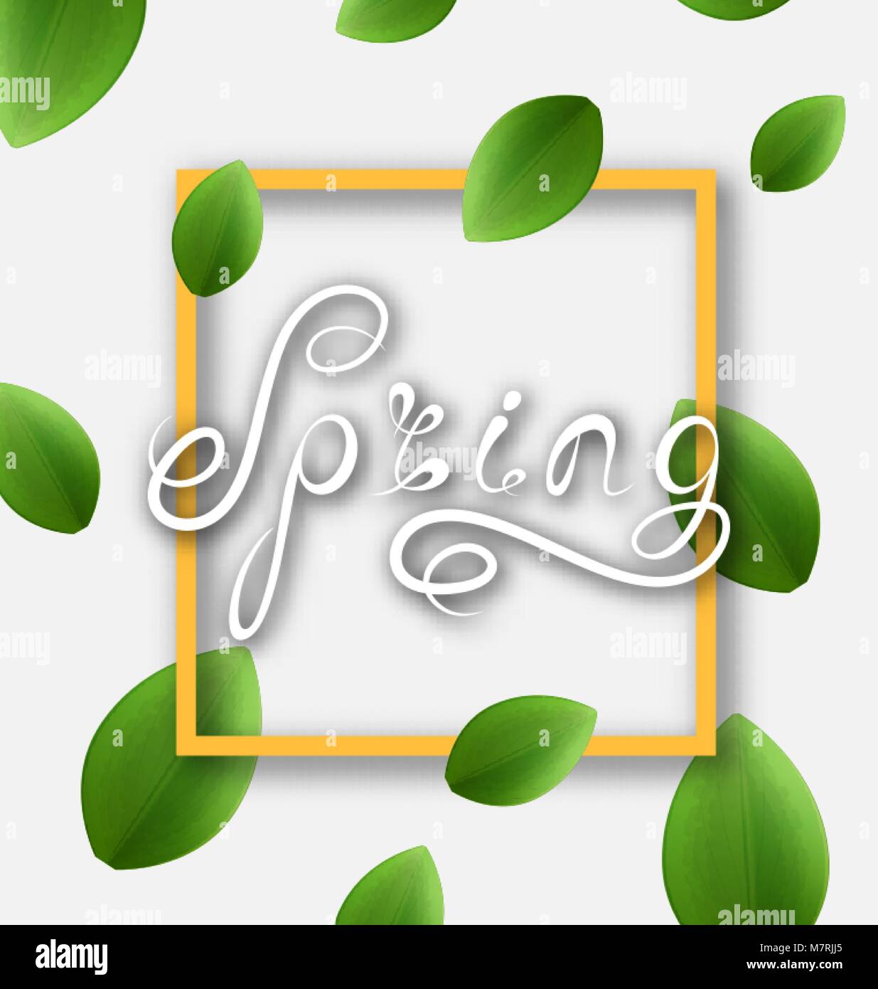 Spring Lettering, Calligraphic Text, Headline Pattern Stock Vector ...