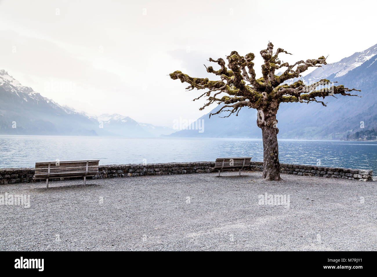 Swiss bank hi-res stock photography and images - Alamy