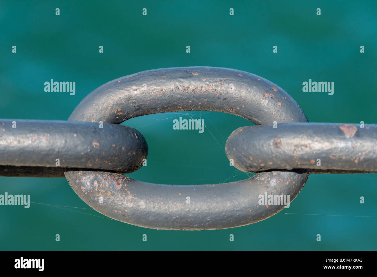 Spider Web Covered Link in Chain over blue water Stock Photo - Alamy