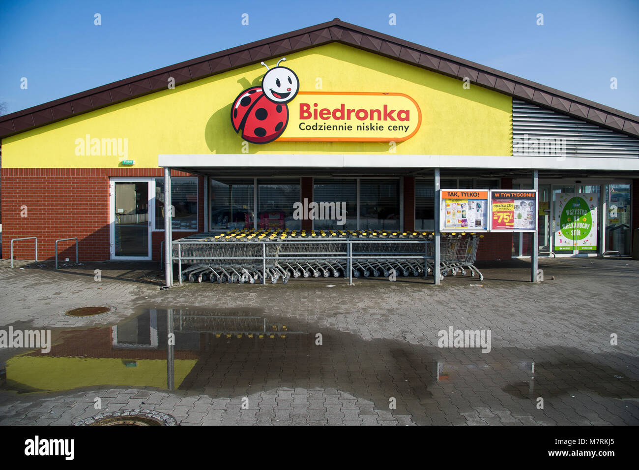 Parked shopping carts equipped with coin-operated locking mechanisms in ...