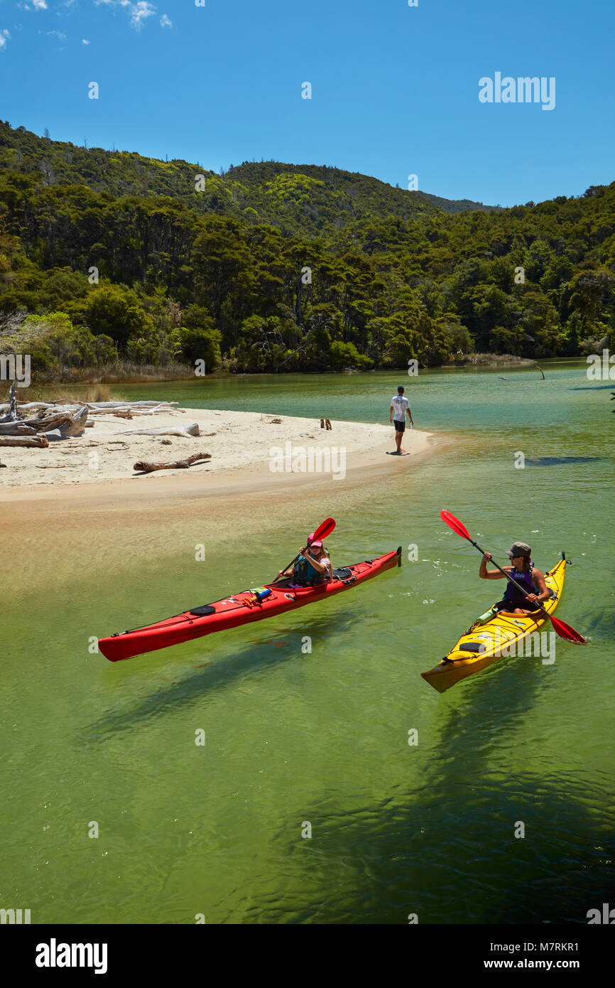 Kayakers, Mosquito Bay, Abel Tasman National Park, Nelson Region, South Island, New Zealand ...