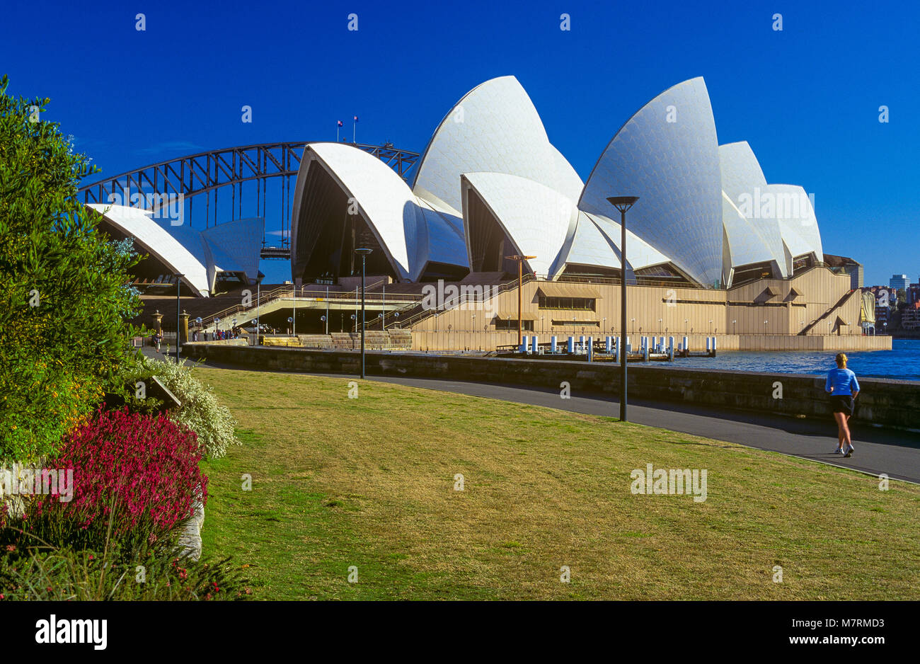 Sydney Opera House seen from the Royal Botanic Gardens at Farm Cove ...