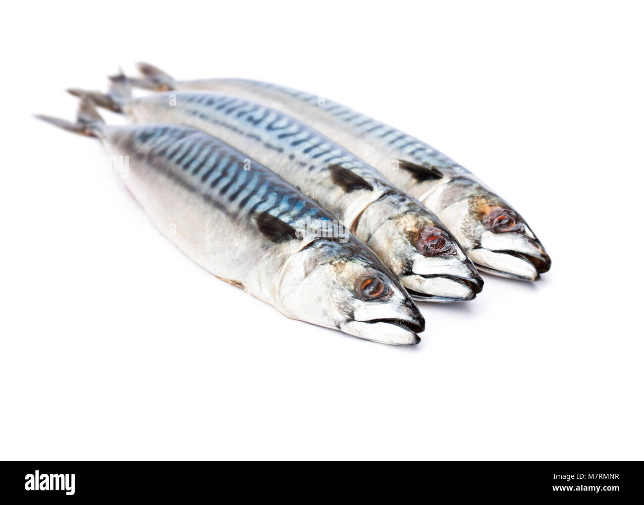 Fresh whole mackerel fish isolated on white background Stock Photo - Alamy