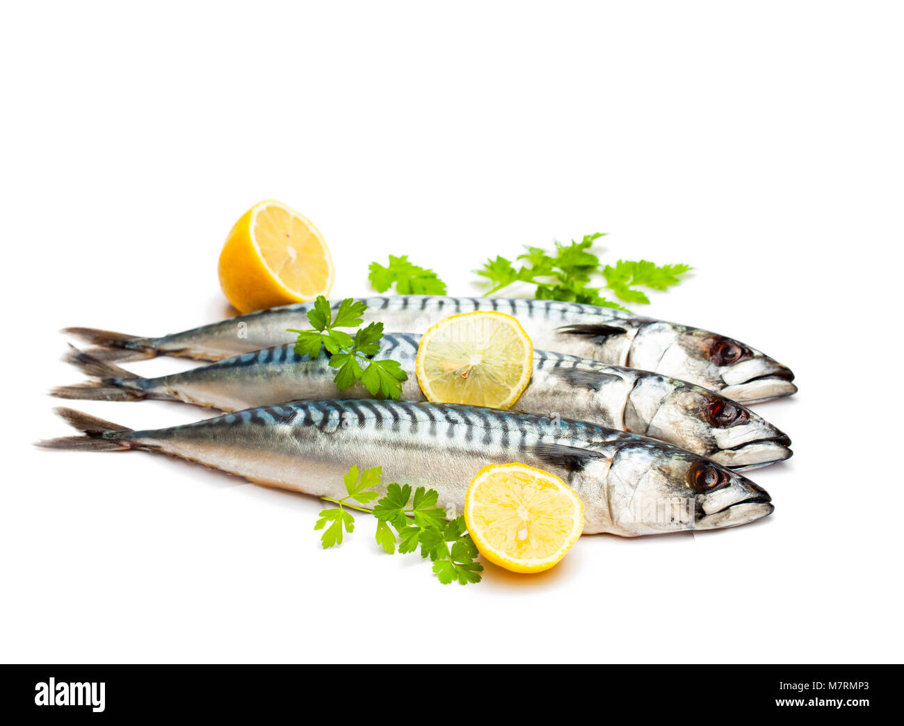 Fresh whole mackerel fish isolated on white background Stock Photo - Alamy