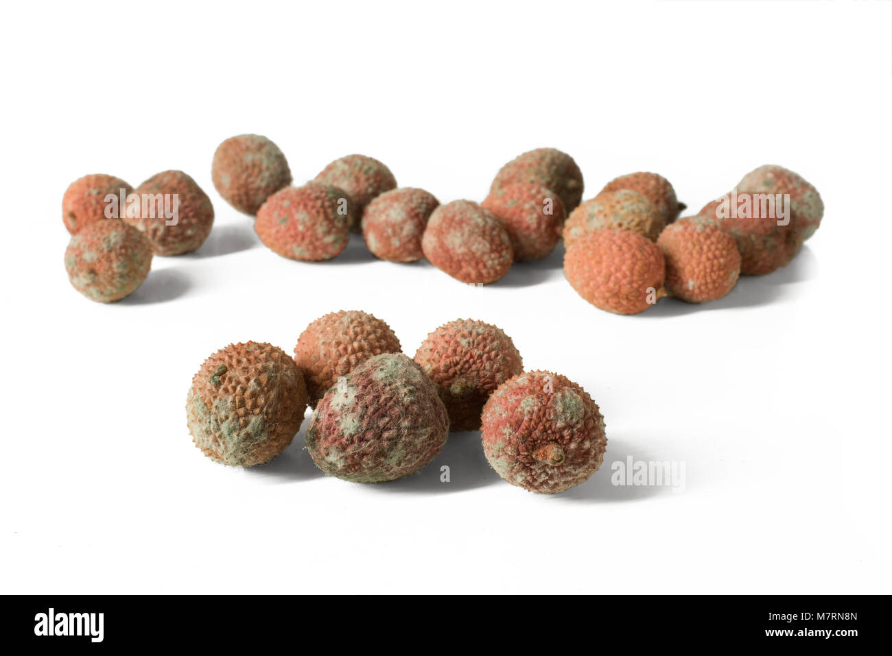 Group of mouldy lychees isolated on white background Stock Photo - Alamy