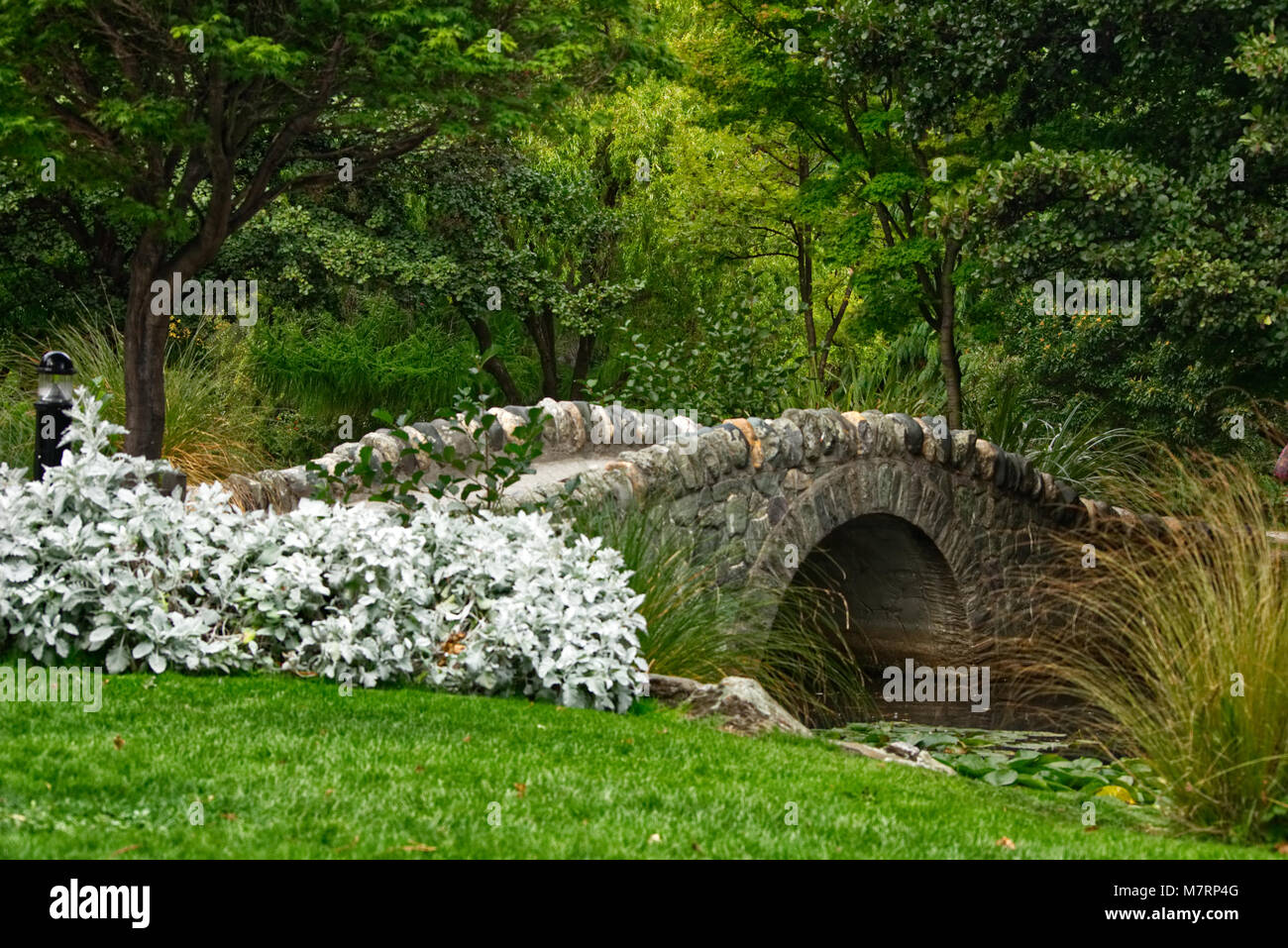 Composure hi-res stock photography and images - Alamy