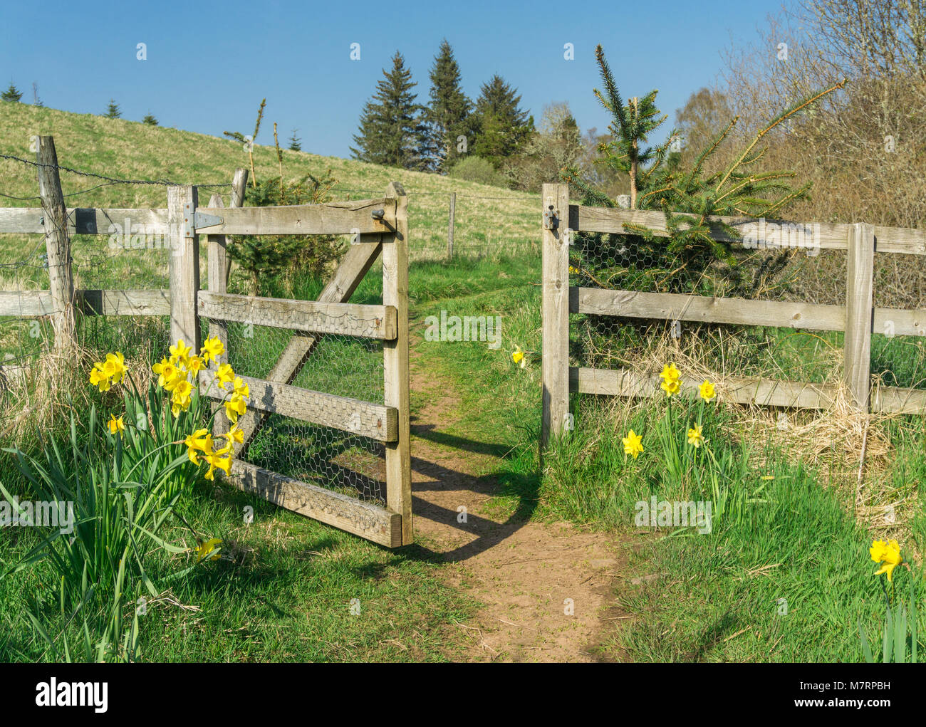 Hiking trail through gate door doorway and flowers. Road to success and ...