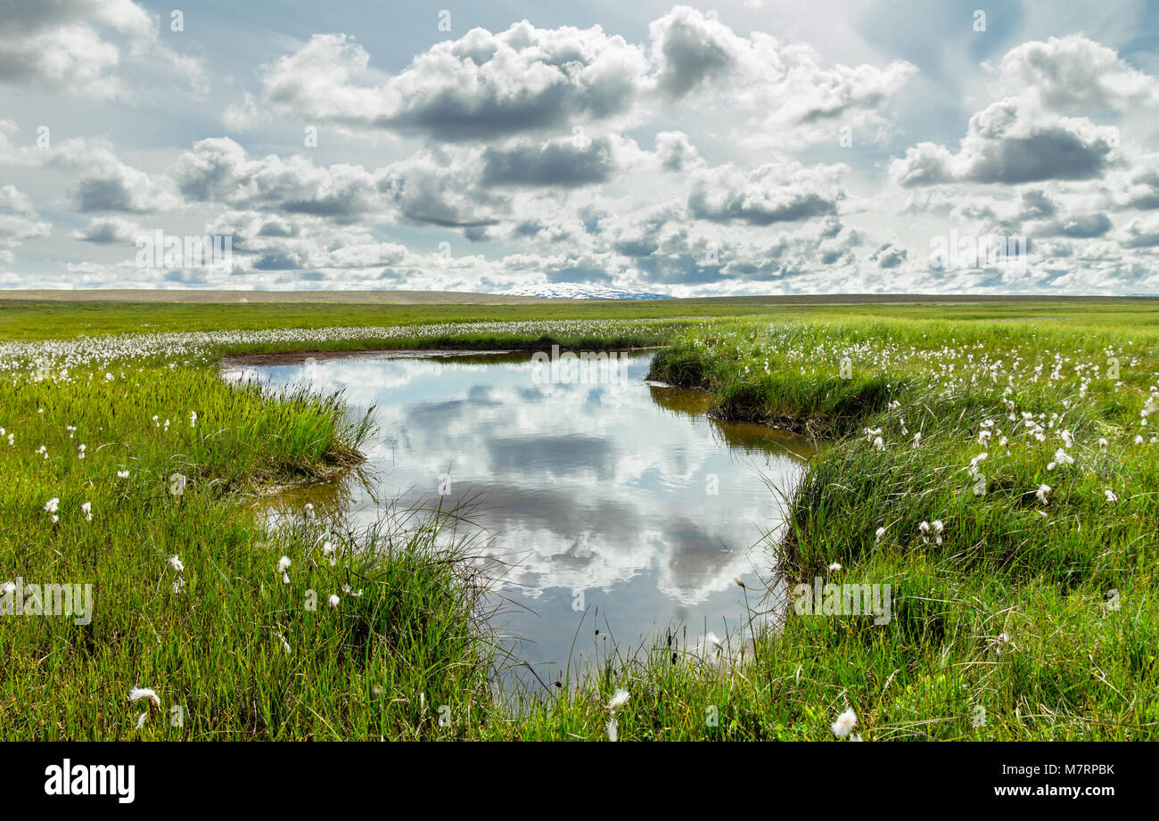 Beautiful Open Field