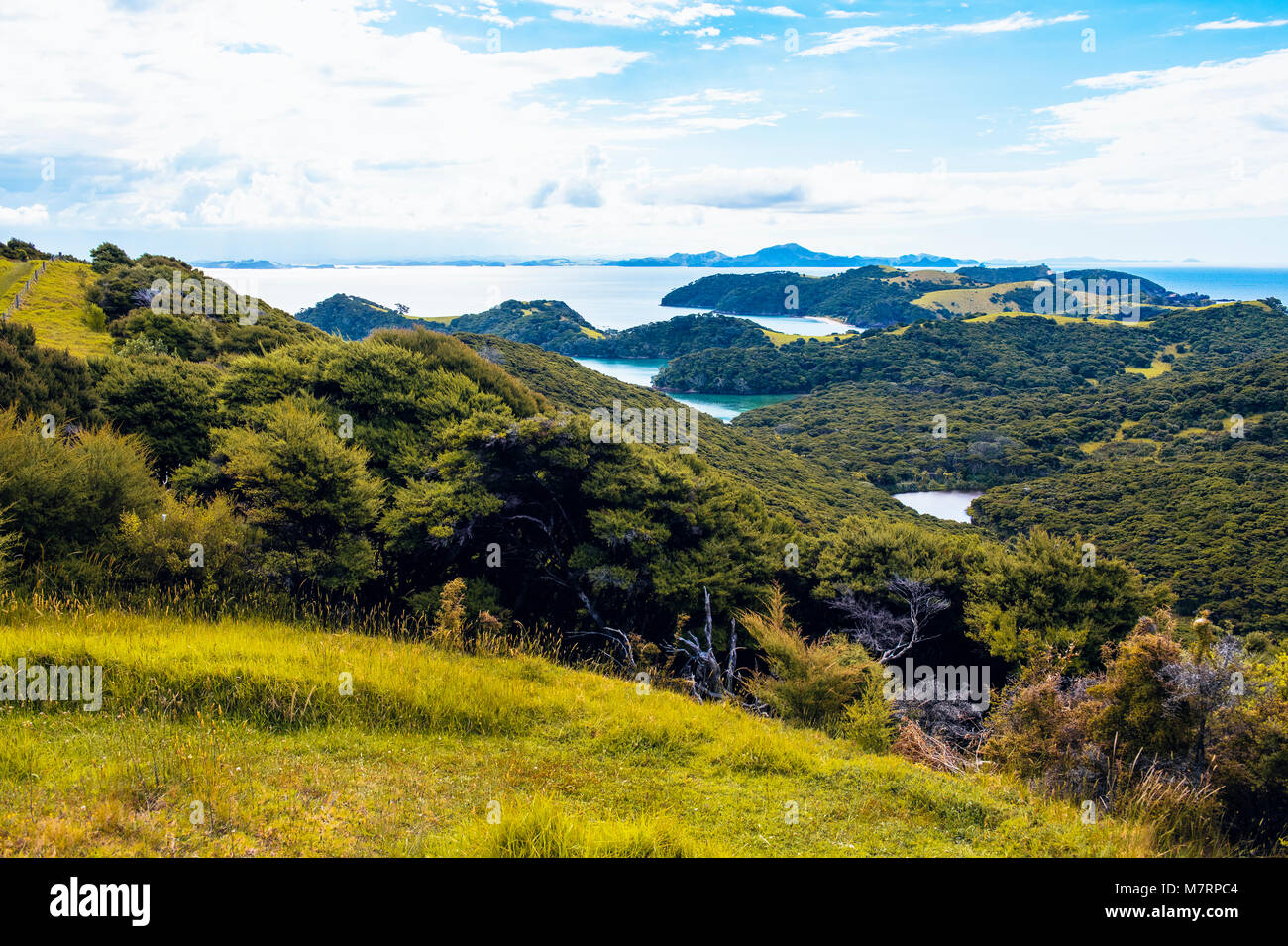 Urupukapuka island bay islands new hi-res stock photography and images ...