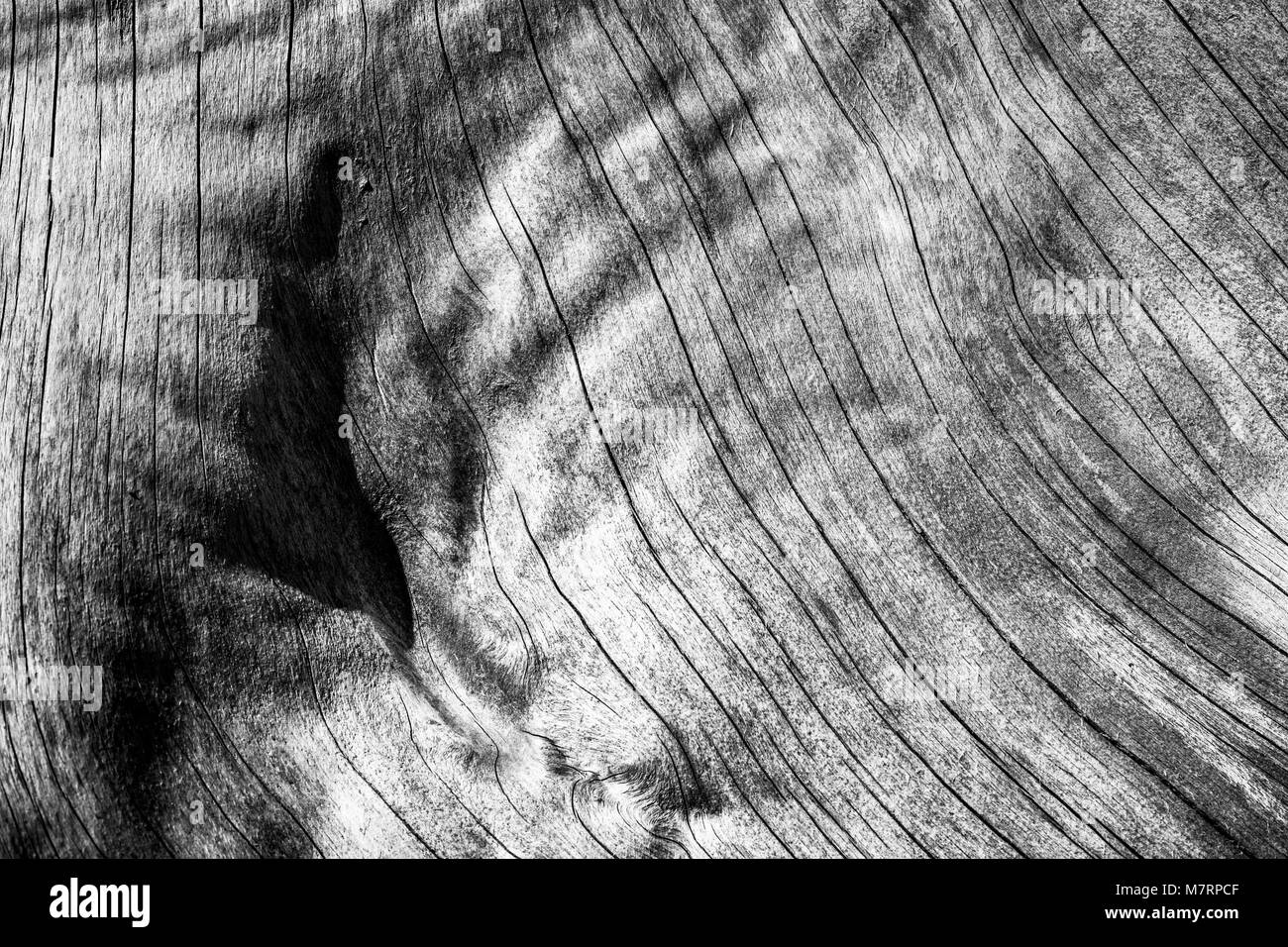 Coloration unique Black and White Stock Photos & Images - Alamy