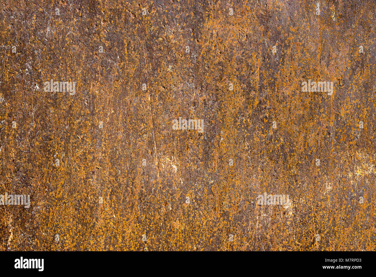 Rusty and corroded metal surface. Grungy texture and background Stock ...