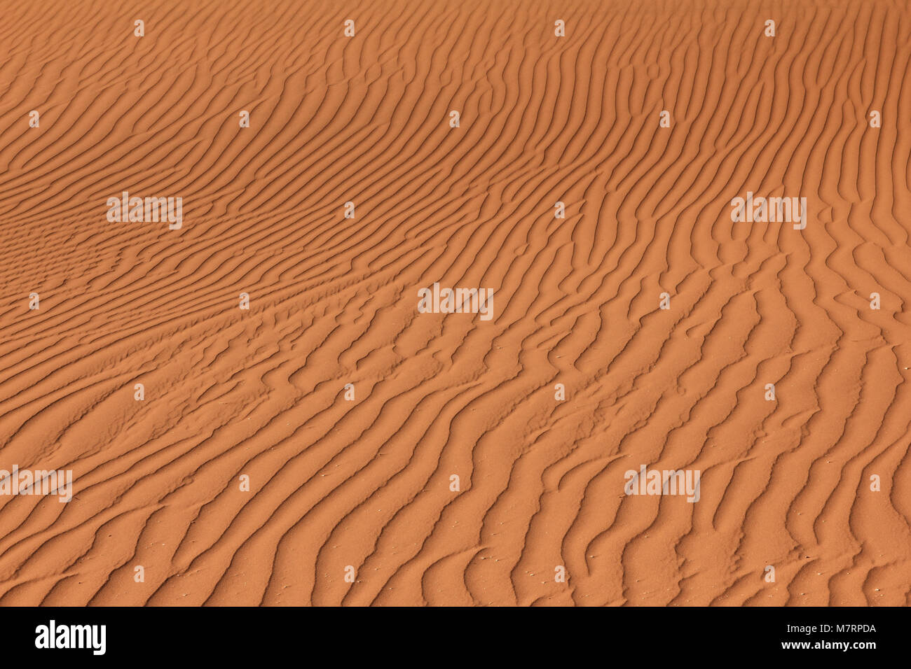 Rippled red brown desert or beach sand texture. Wavy background Stock ...