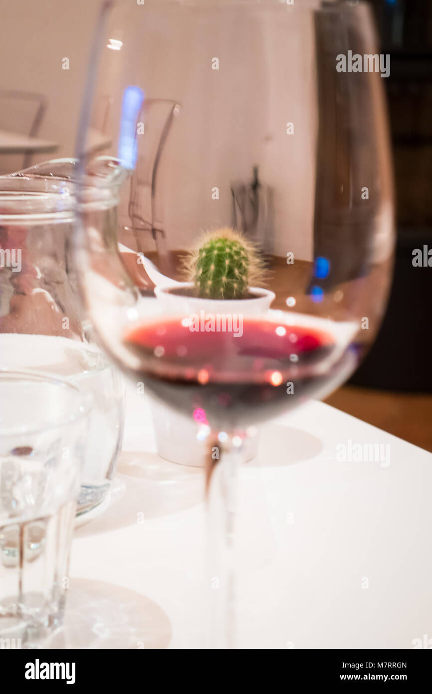 Little Cactus thru Wine Glass Stock Photo - Alamy