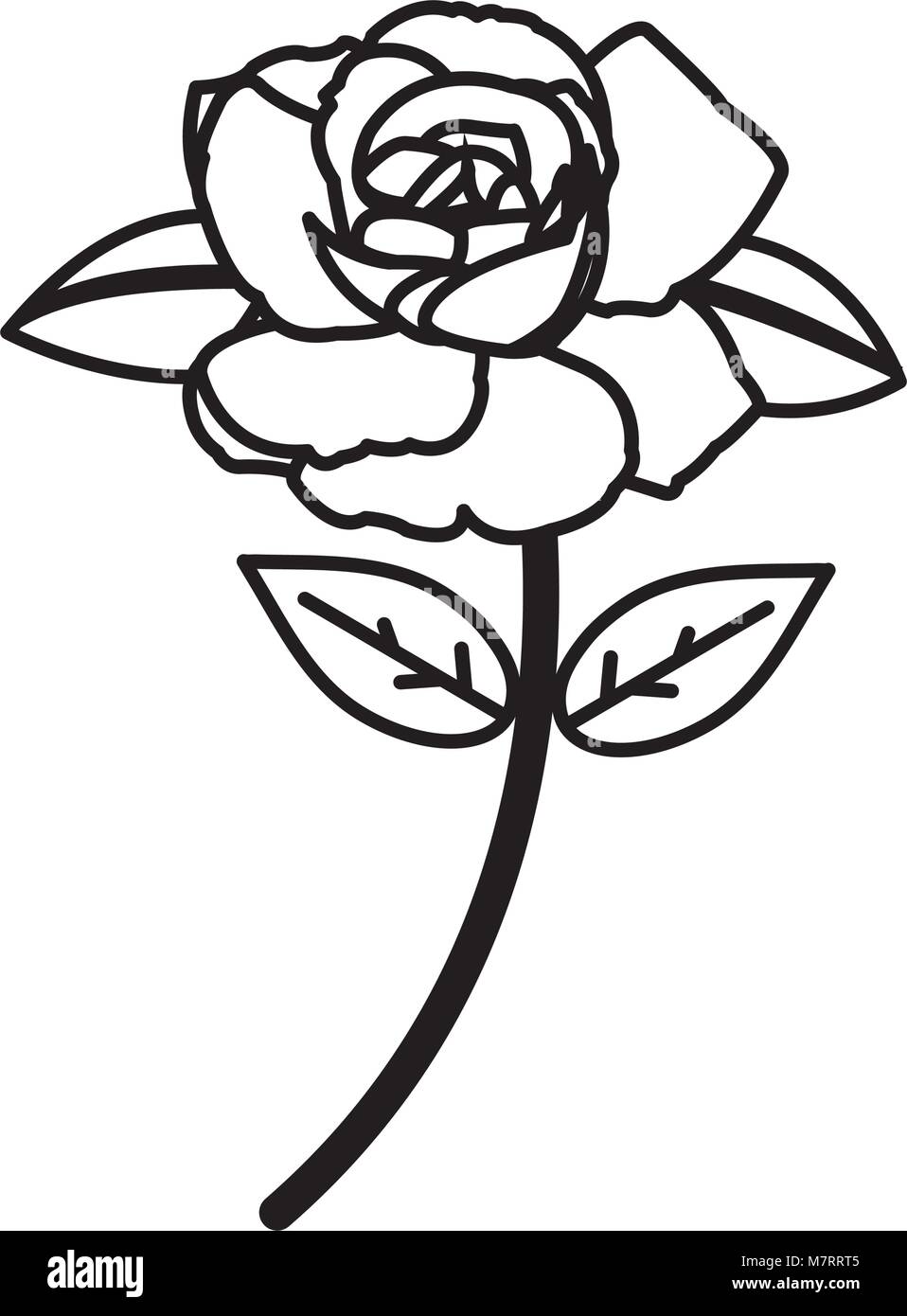 line beautiful rose with nature petals and leaves Stock Vector Image ...