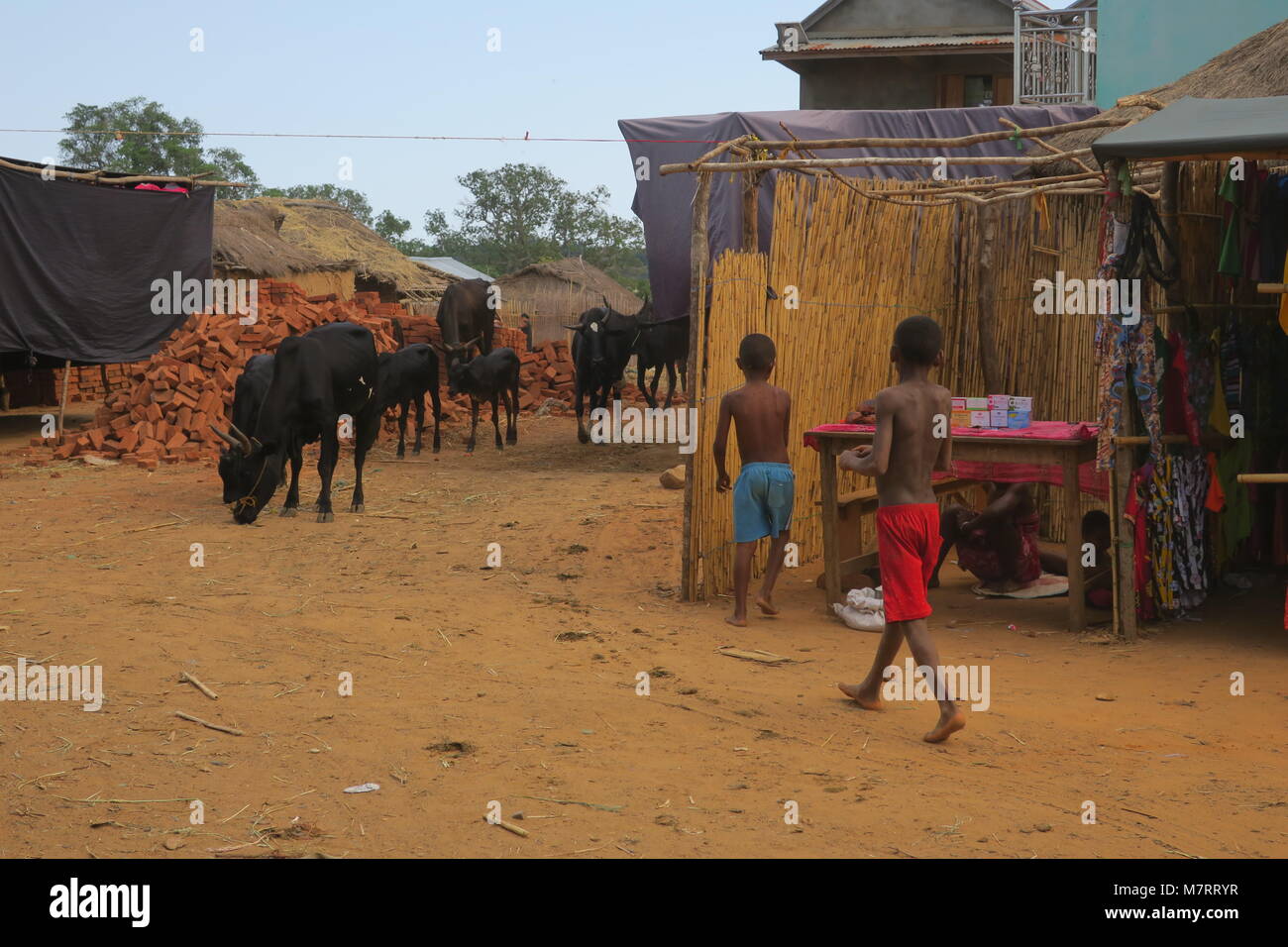 Poverty in Malagasy village. Small simple home on countryside of ...