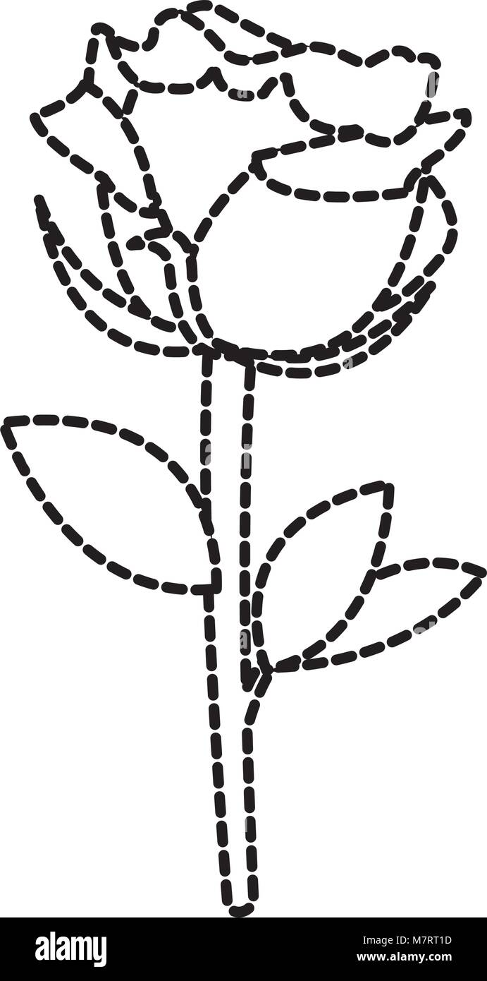 dotted shape beautiful nature rose design decoration Stock Vector Image ...