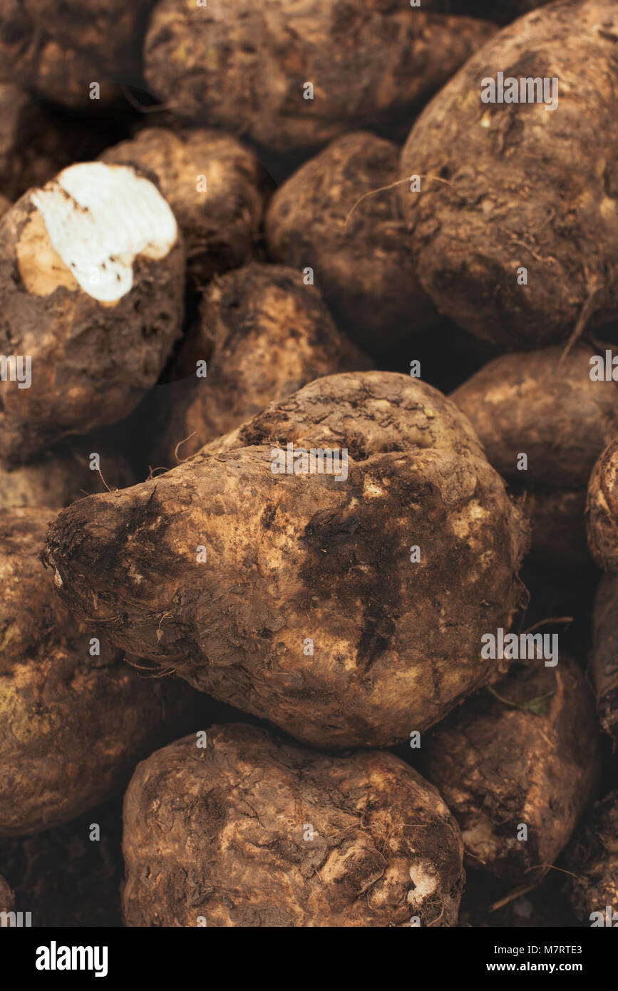 Pile of crop hi-res stock photography and images - Alamy