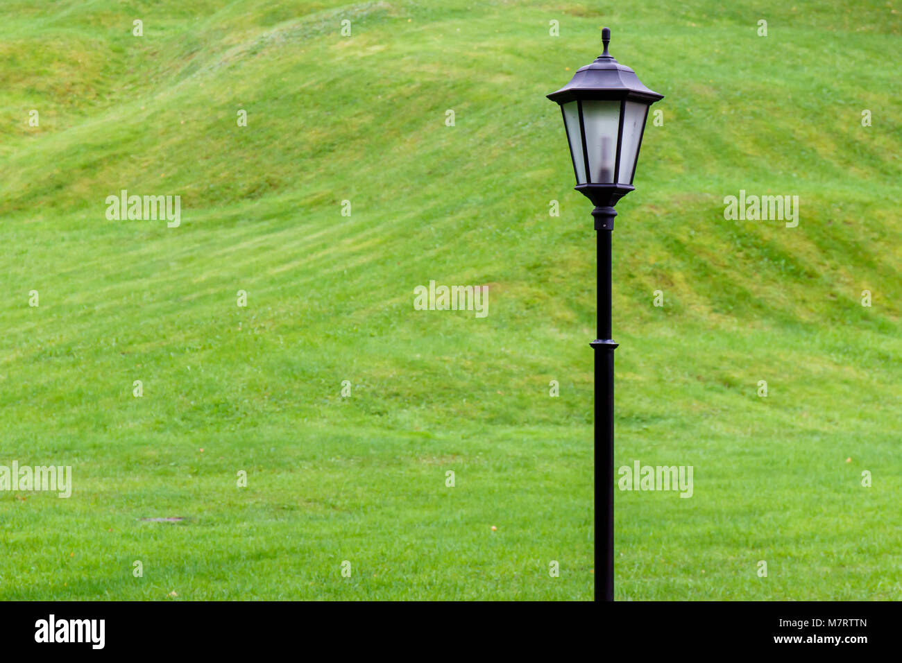 Lawn grass and a street lamp. The concept of landscape design Stock ...
