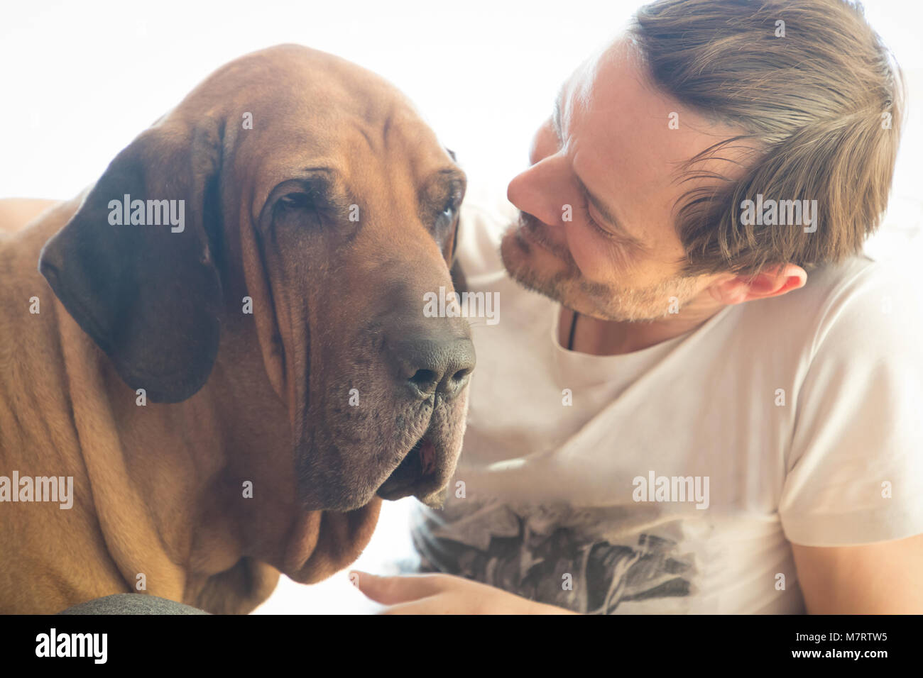 Portrait of Pretty young, happy, man with beautiful big dog Stock Photo ...