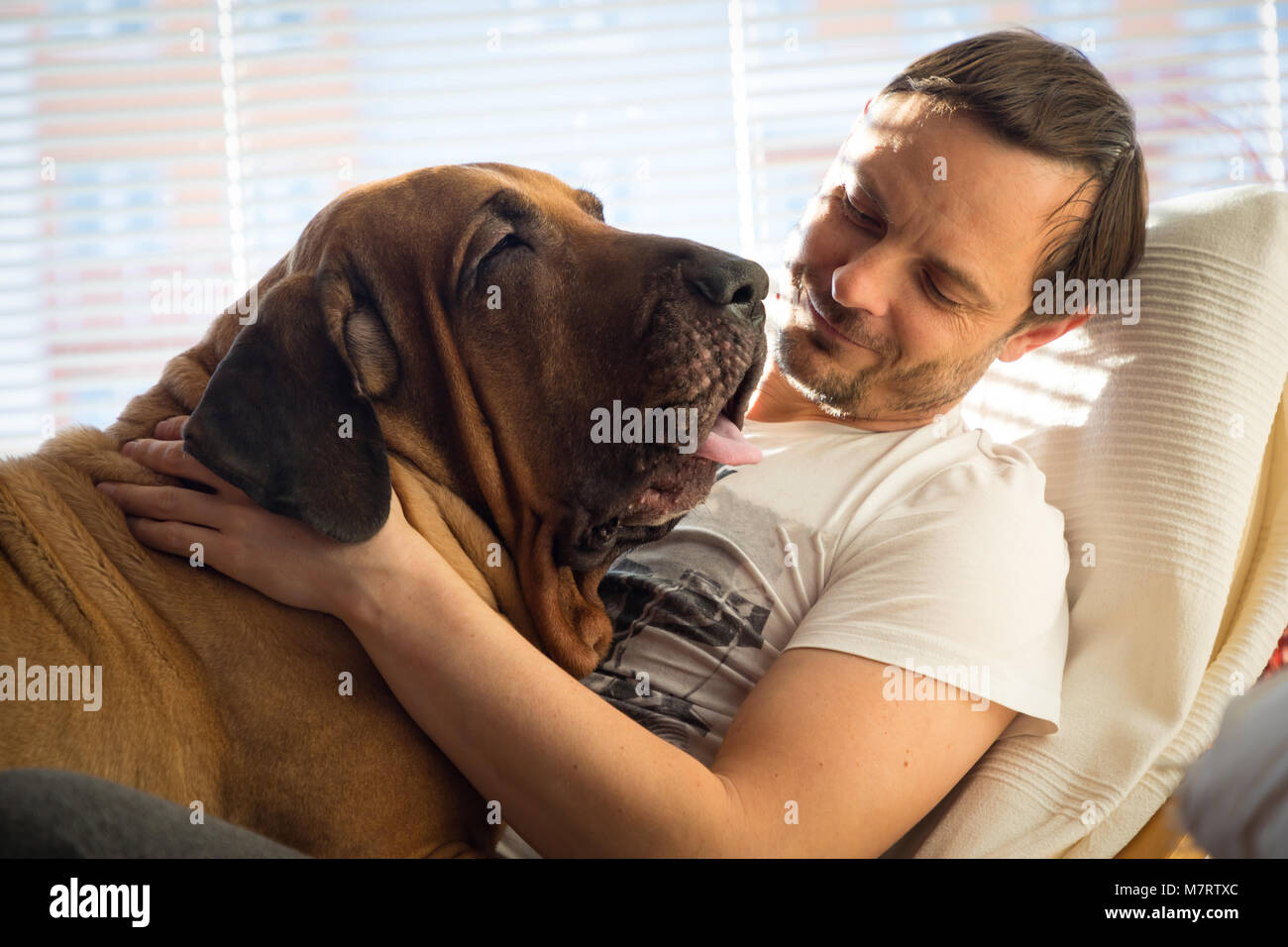 Portrait of Pretty young, happy, man with beautiful big dog Stock Photo ...