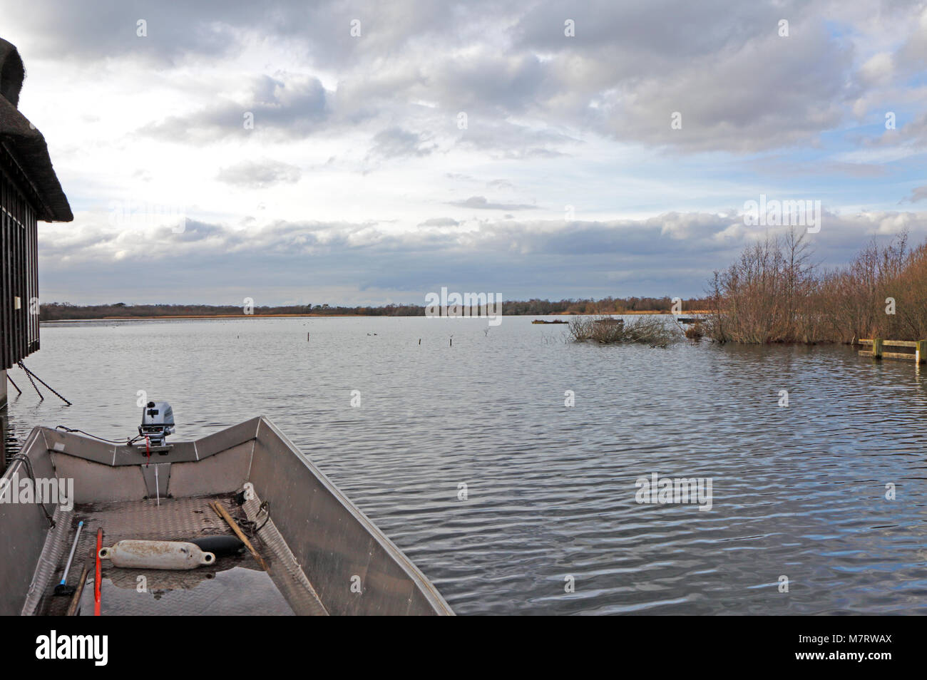 A winter view over Ranworth Broad Nature Reserve on the Norfolk Broads at Ranworth, Norfolk ...