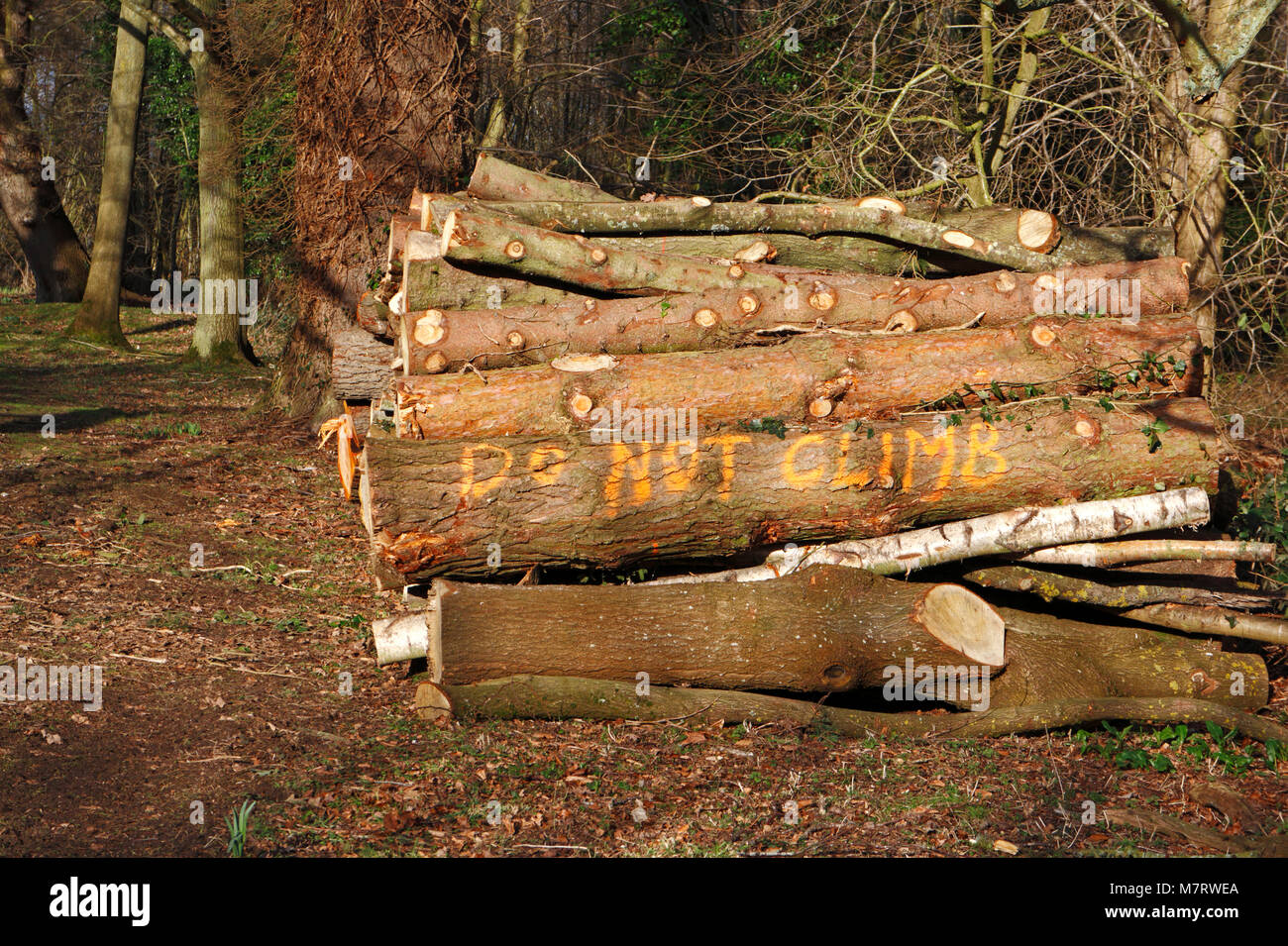 A pile of sawn and trimmed logs with Do Not Climb handwritten notice ...