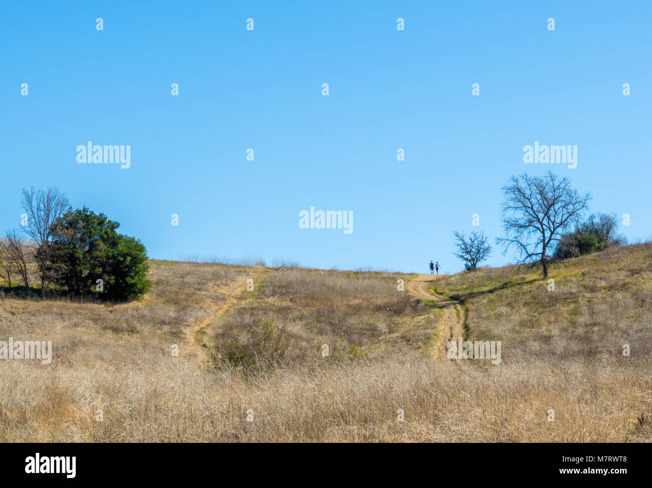 2 hikers on a rugged dirt path through rolling hills in Malibu ...