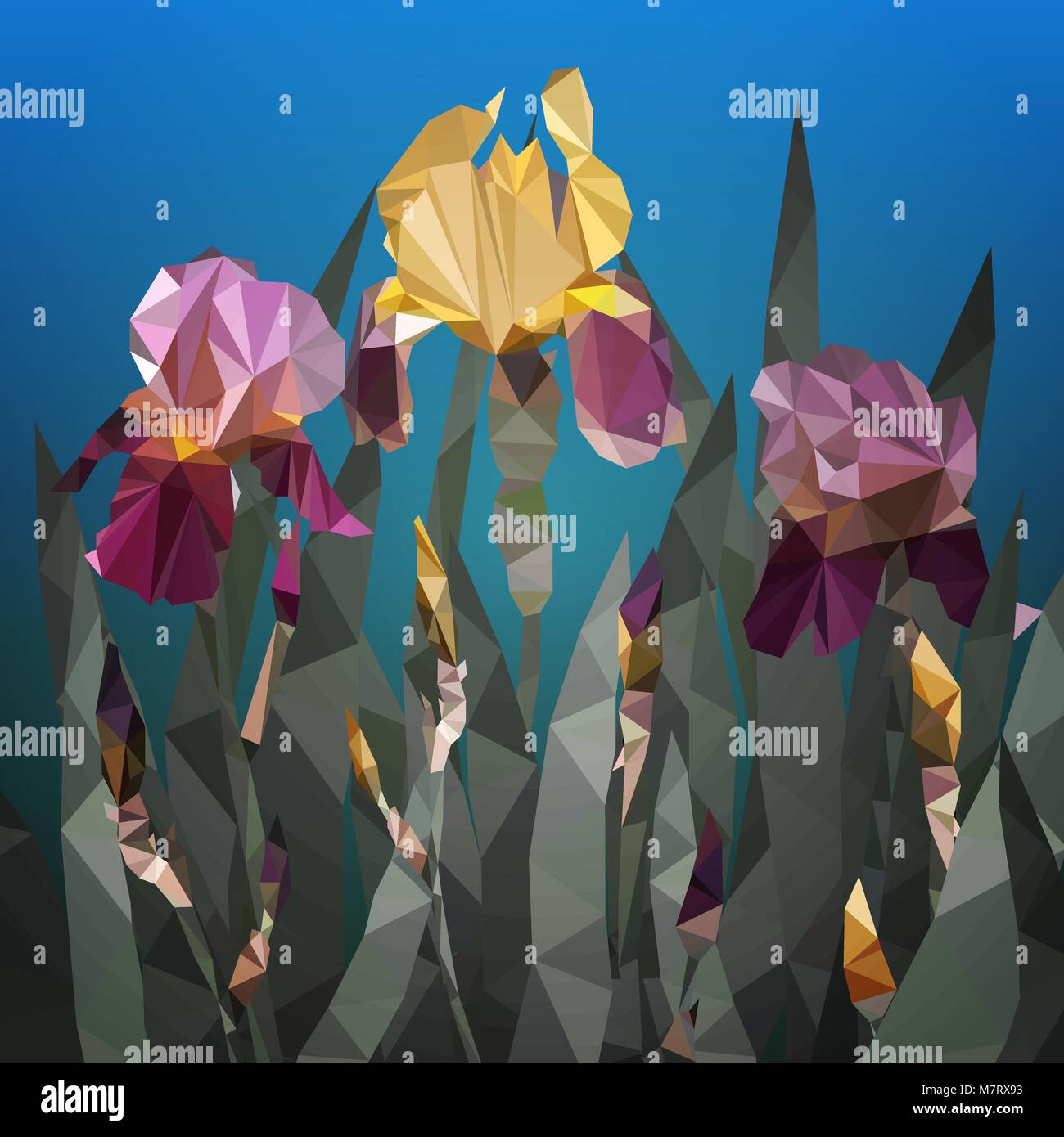 Iris flower drawing hi-res stock photography and images - Alamy