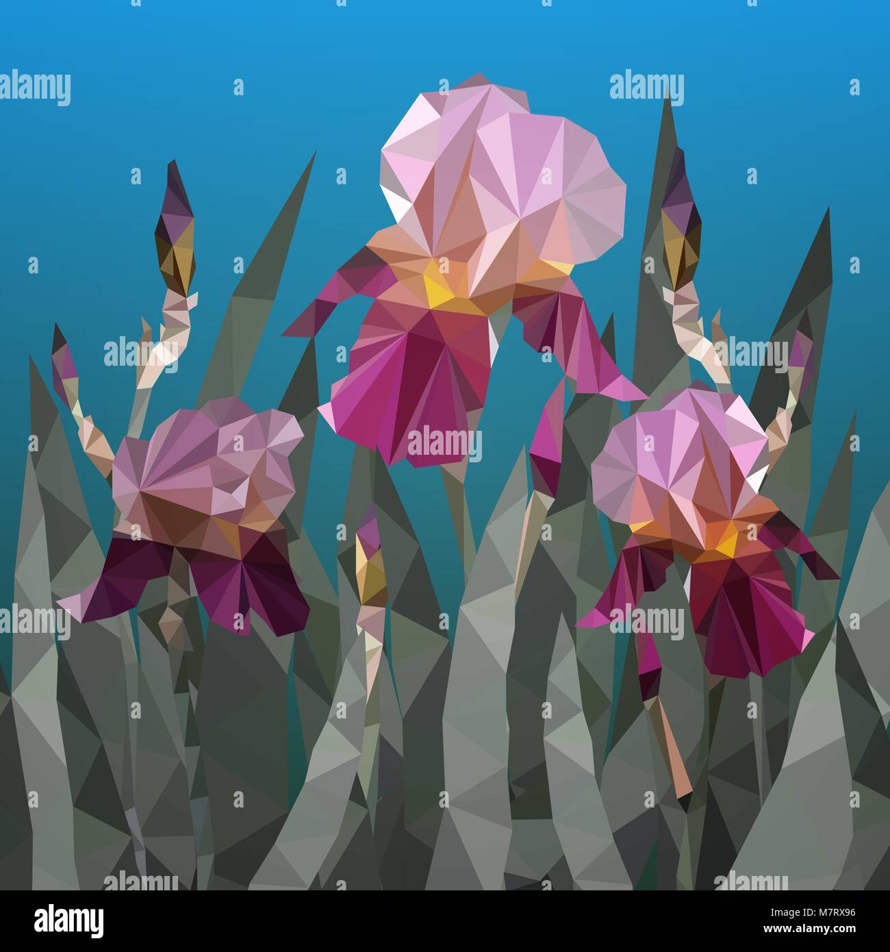 Scented iris Stock Vector Images - Alamy