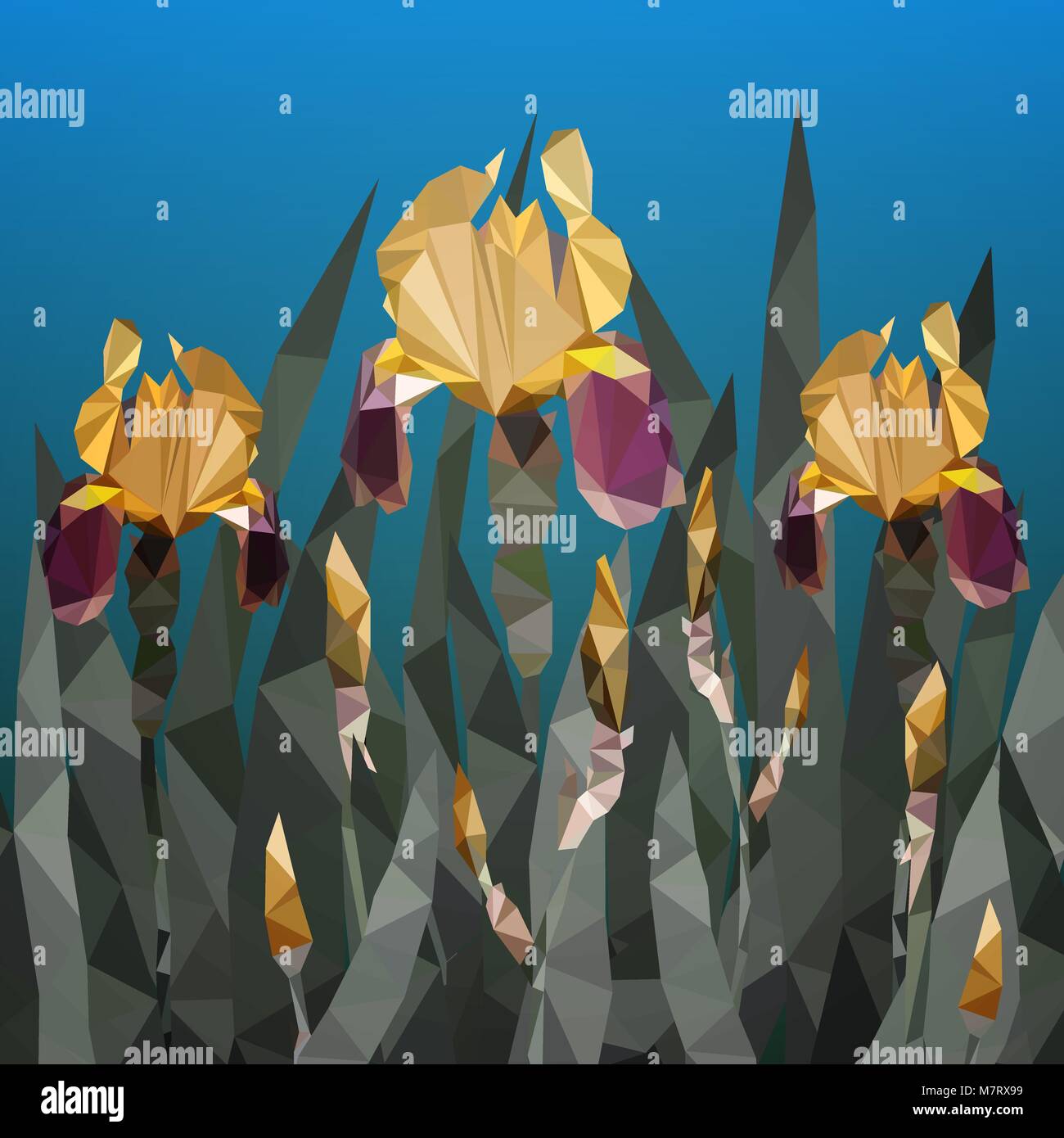 Iris perennial Stock Vector Images - Alamy