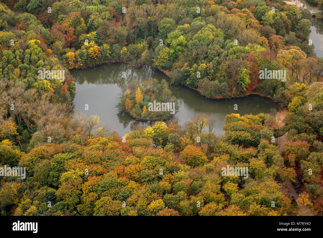 Aerial view, city pond with autumn leaves, golden October, deciduous ...