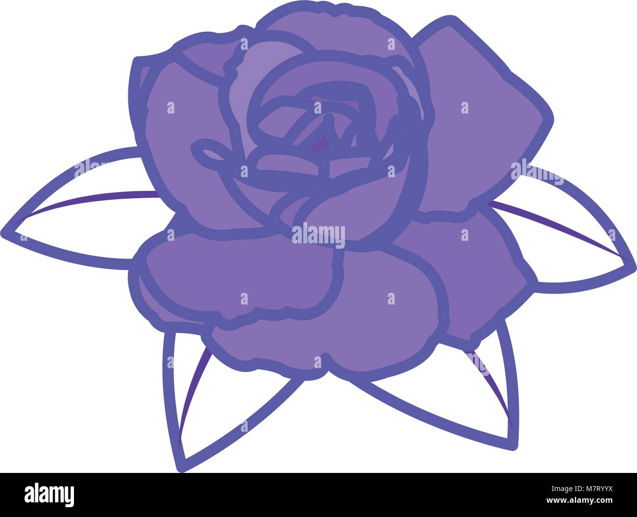 duo color nice nature rose with petals design Stock Vector Image & Art ...