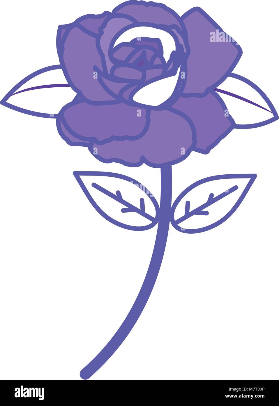 duo color beautiful rose with nature petals and leaves Stock Vector ...